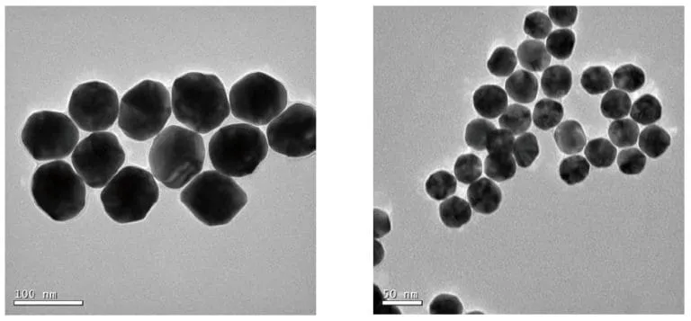 Gold Nanoparticles – FCAD Group