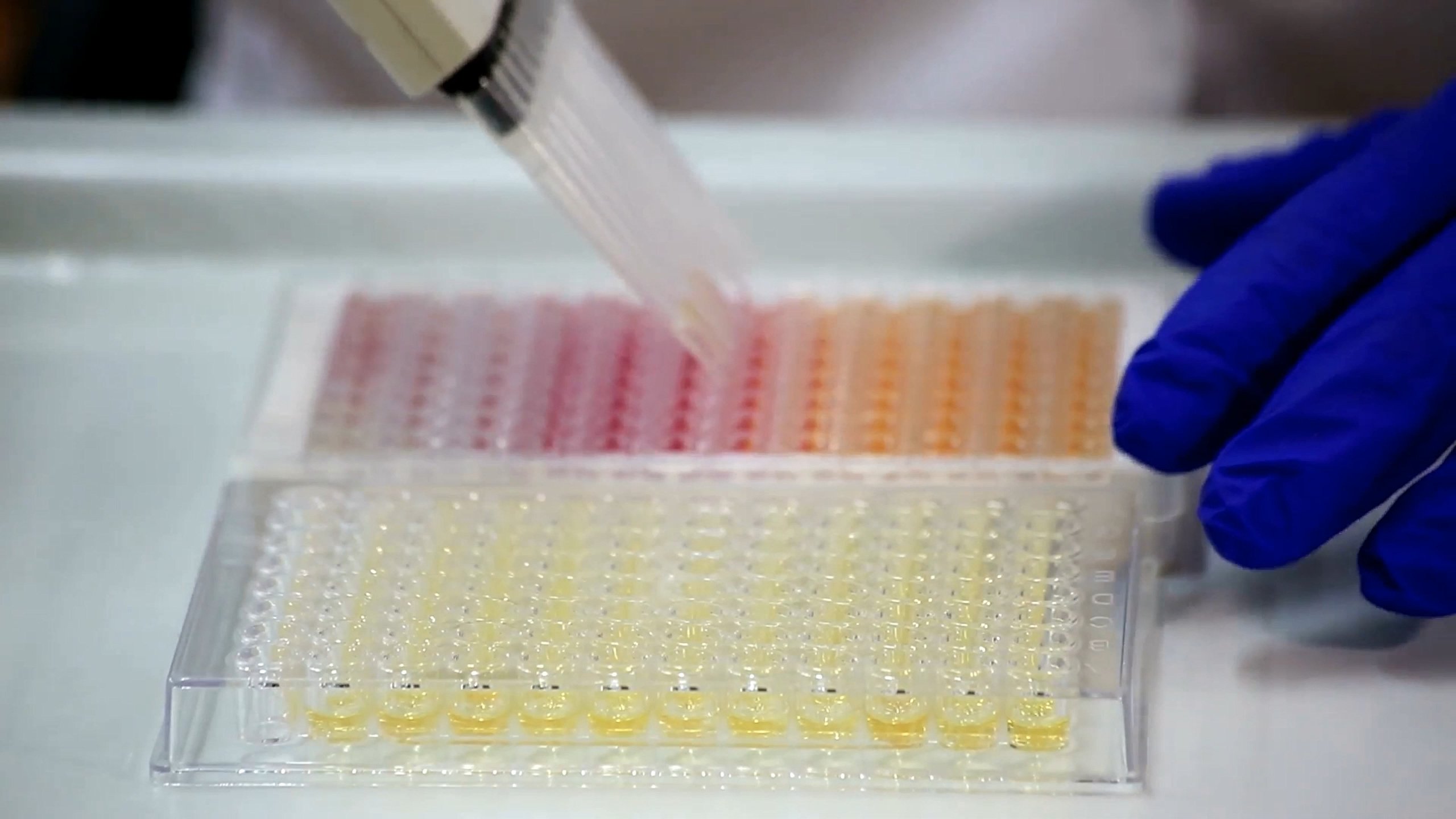 ChemWhat Sulfo-TAG NHS-Ester: Redefining the International Quality ...